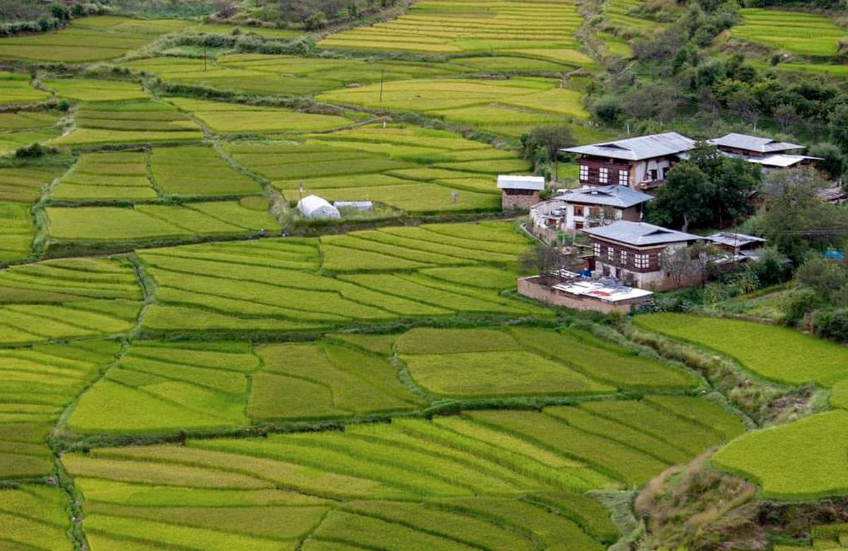 Authentic Bhutan Homestay Experience (9 Days and 8 Nights) - Prestige ...
